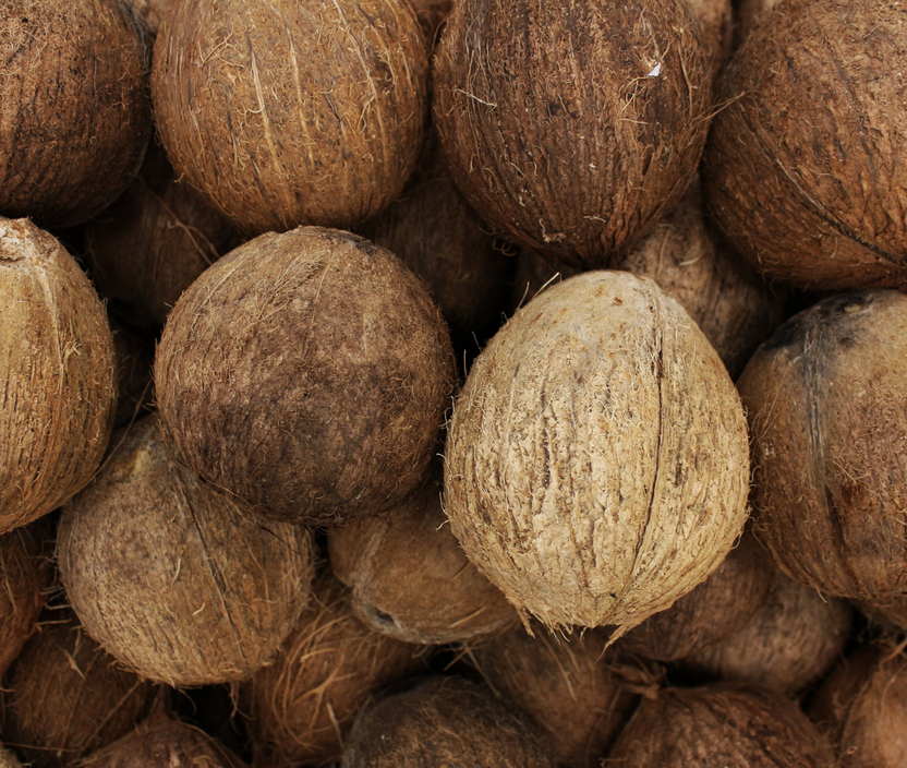 Coconut Kicker Smoothie – The Bomb Co